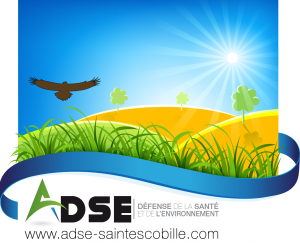 le point sur nos activités 2024 - ADSEADSE